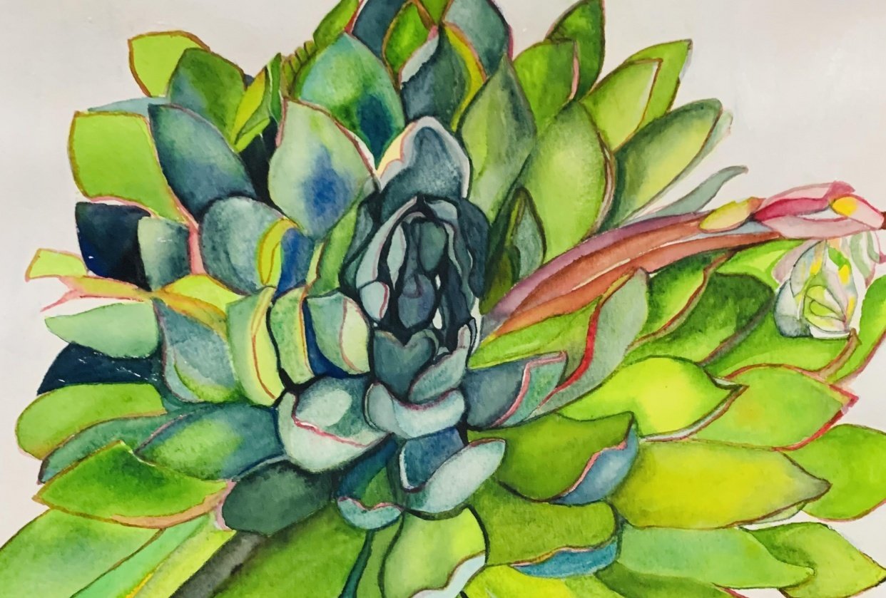 Watercolor Succulent | Skillshare Student Project