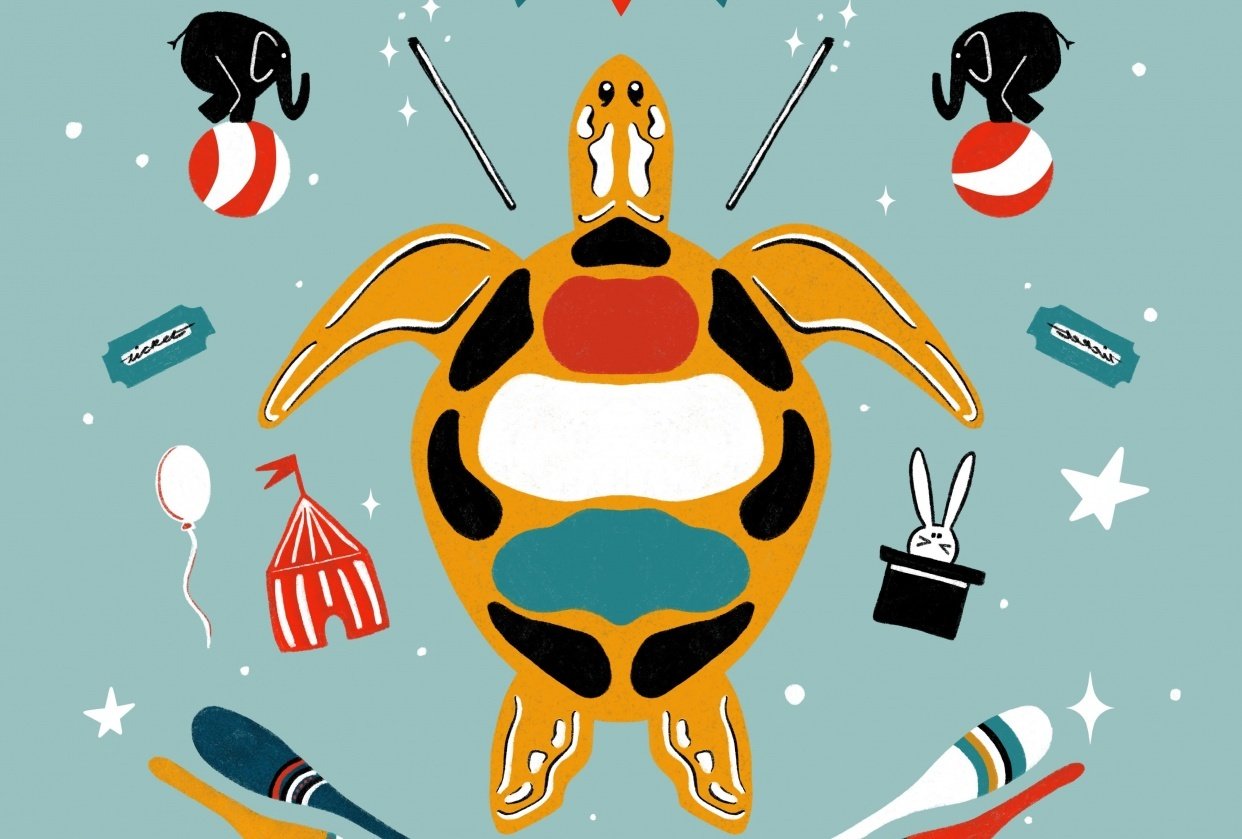 Circus Turtle | Skillshare Student Project