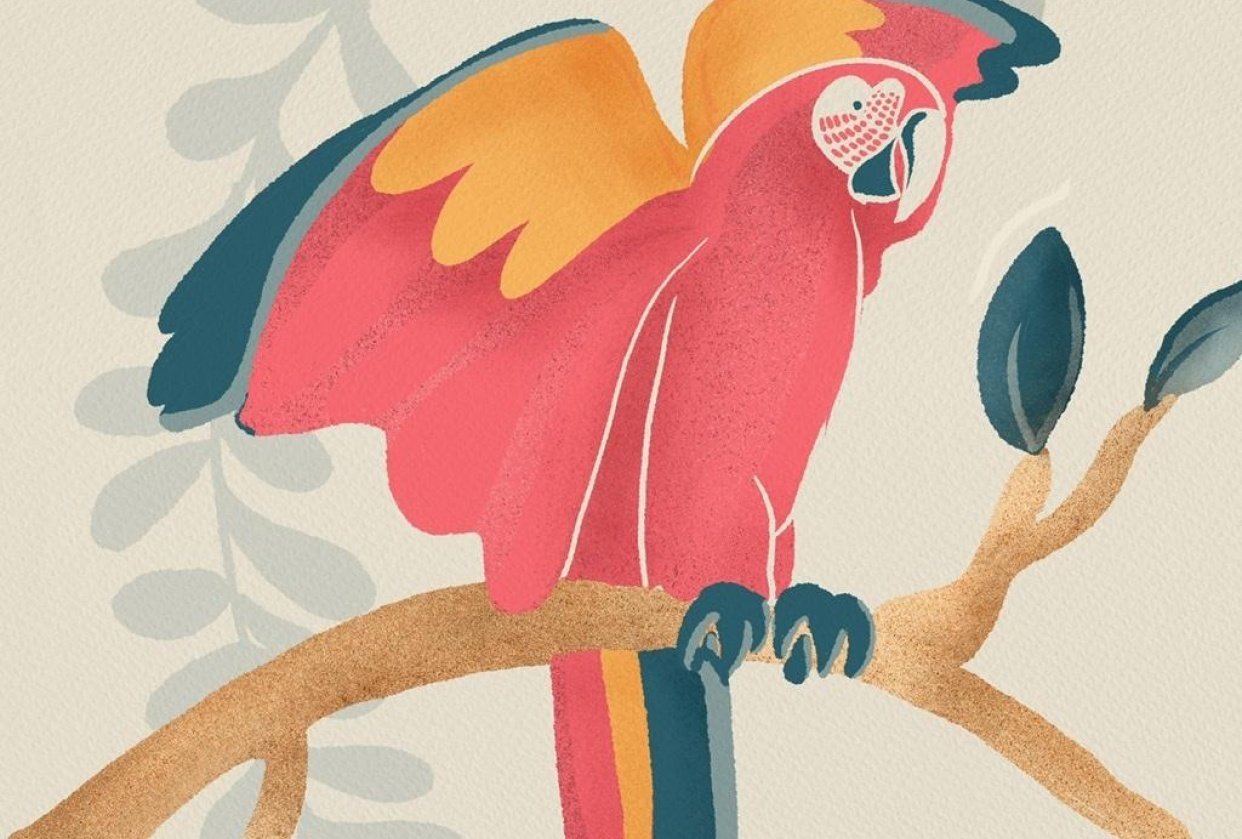 Parrots | Skillshare Student Project