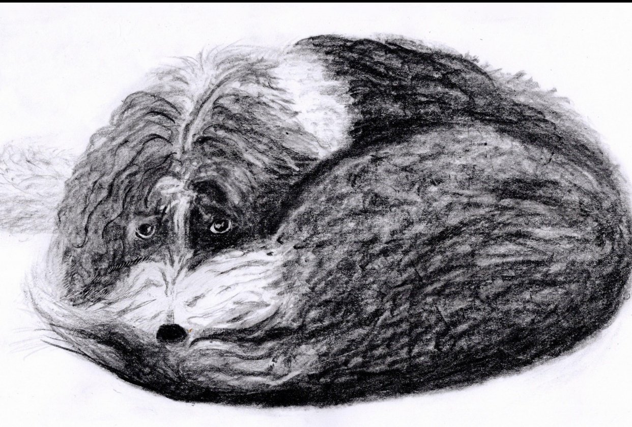 Dynamic Mark Making | Skillshare Student Project