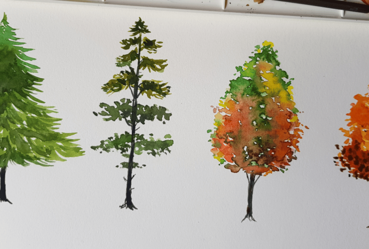 Autumn Trees | Skillshare Student Project