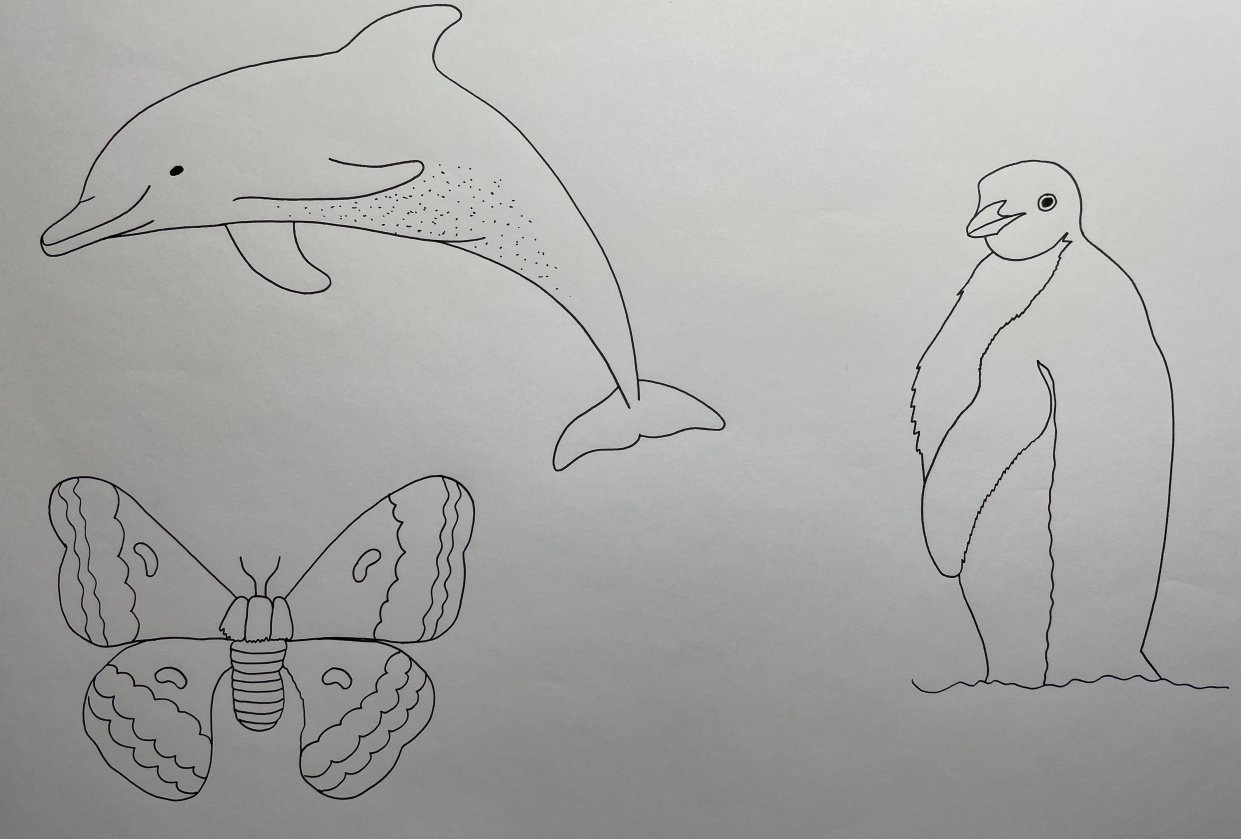 How to draw anything with basic shapes | Skillshare Student Project