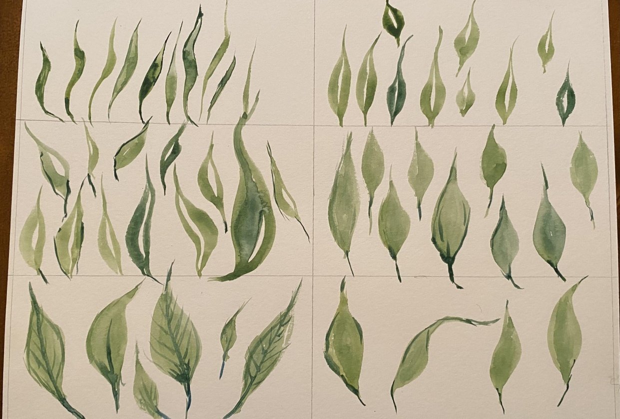 Leaf Practice | Skillshare Student Project