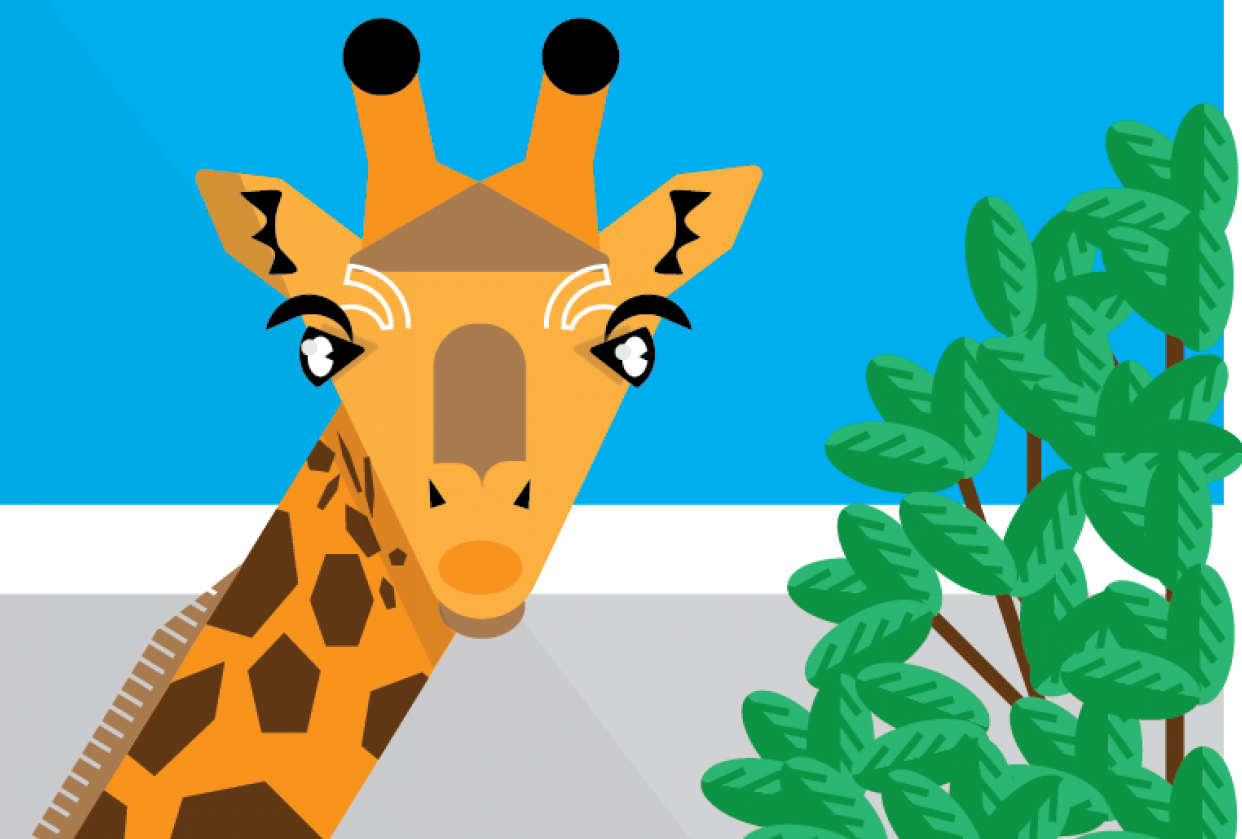 Illustrator Animal | Skillshare Student Project