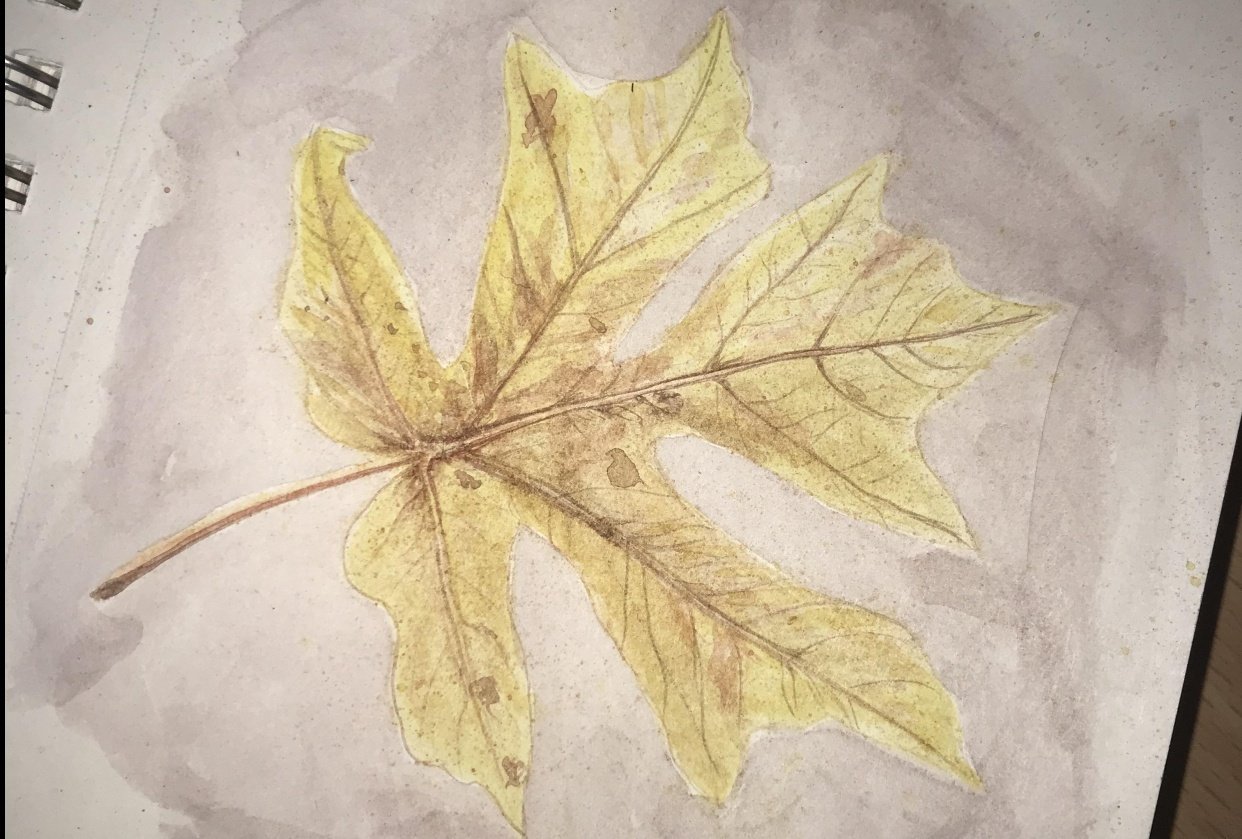 Watercolor Leaf | Skillshare Student Project