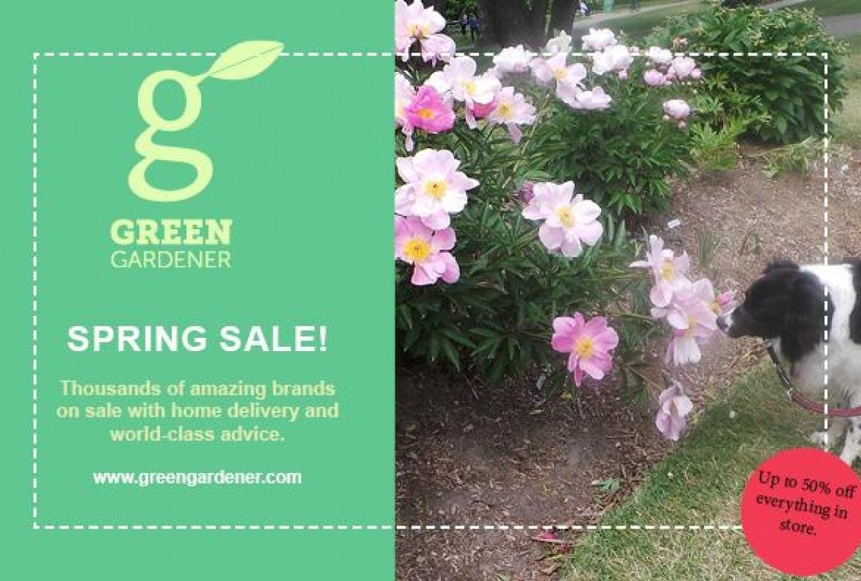 Adobe InDesign Essentials - My Completed Exercises. | Skillshare ...