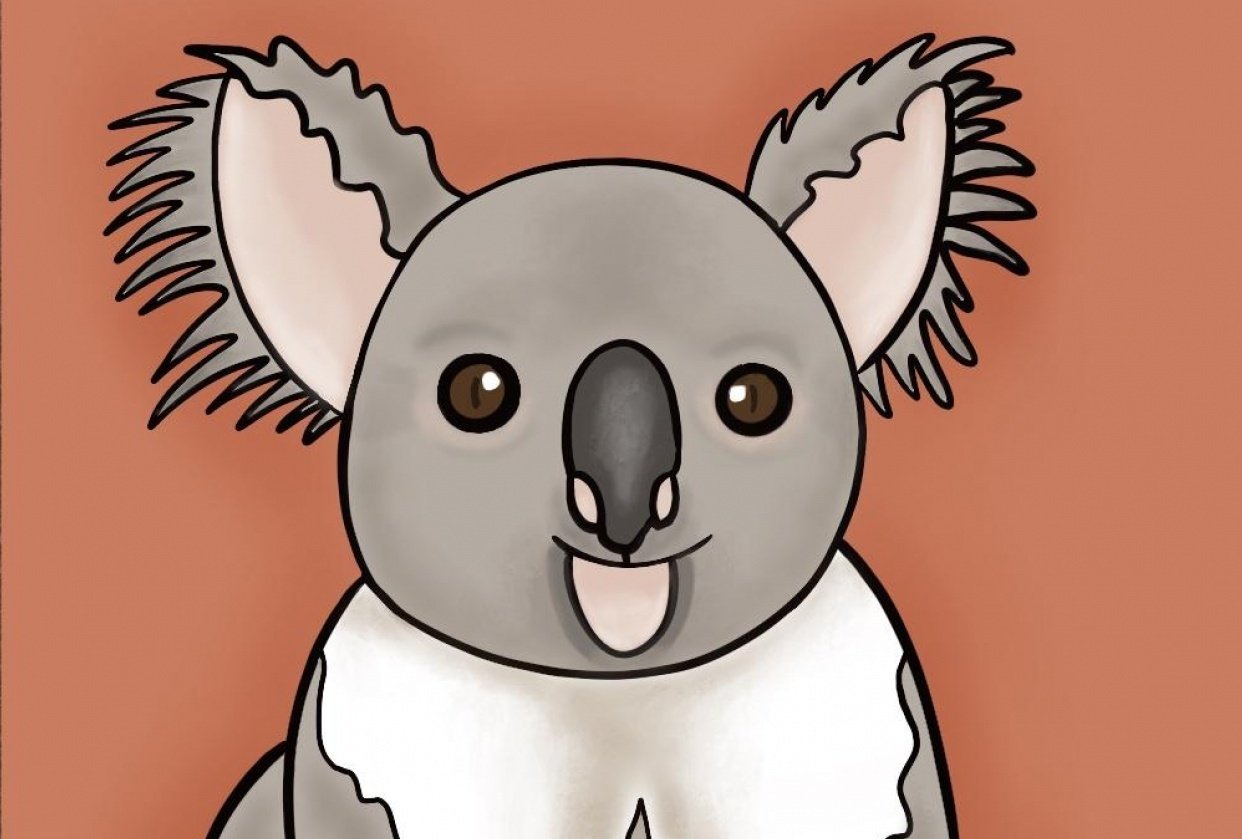 Koala | Skillshare Student Project