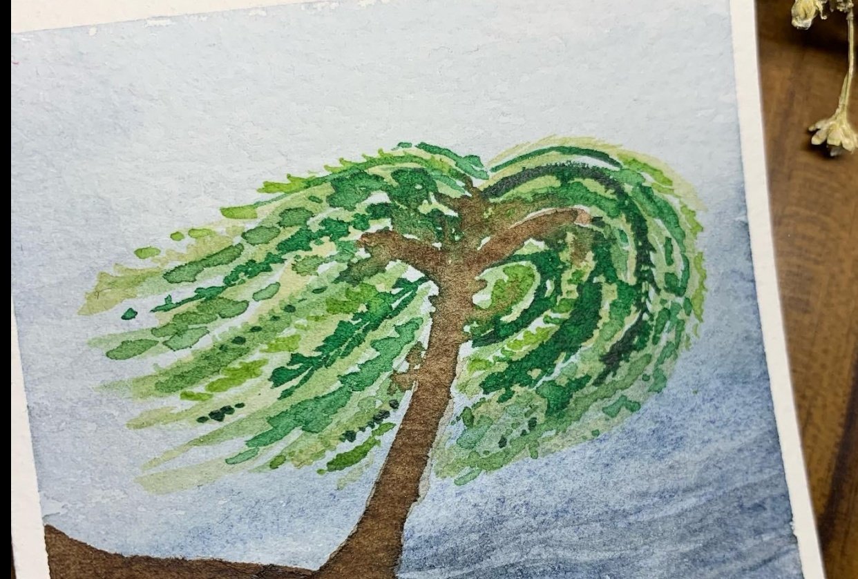 Willow | Skillshare Student Project