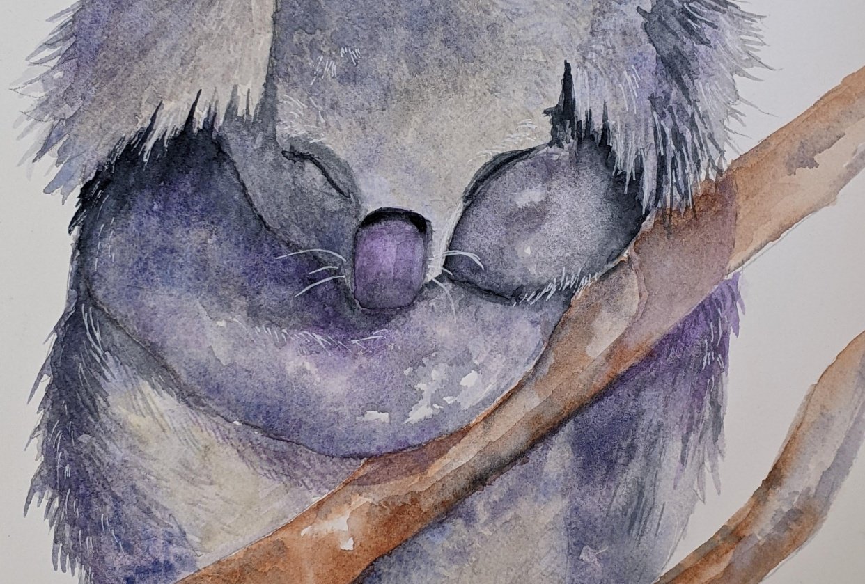 Koala | Skillshare Student Project