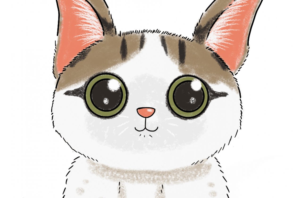 Archie the cat | Skillshare Student Project