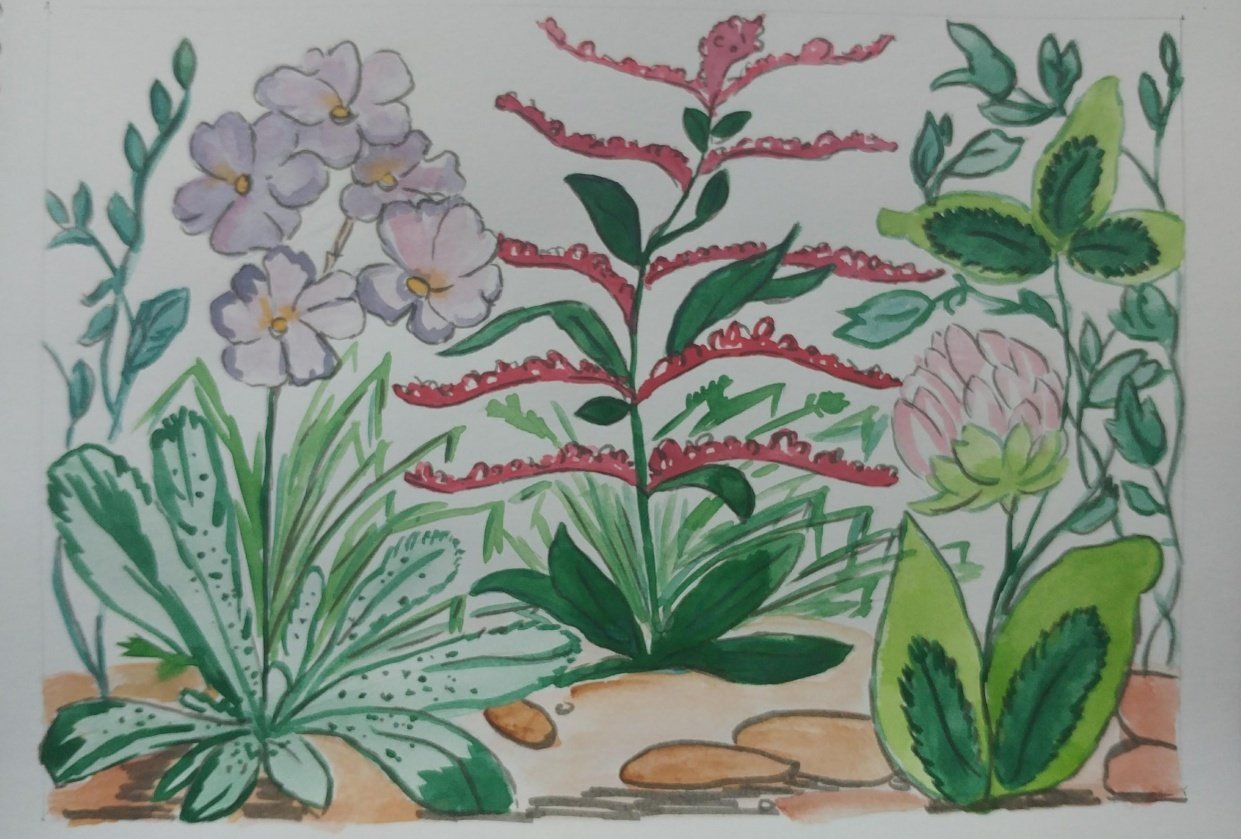 Garden flowers | Skillshare Student Project