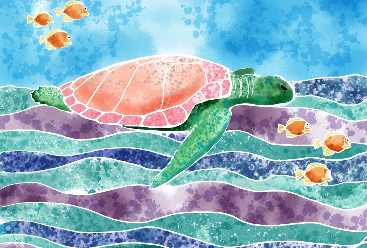 Turtle | Skillshare Student Project