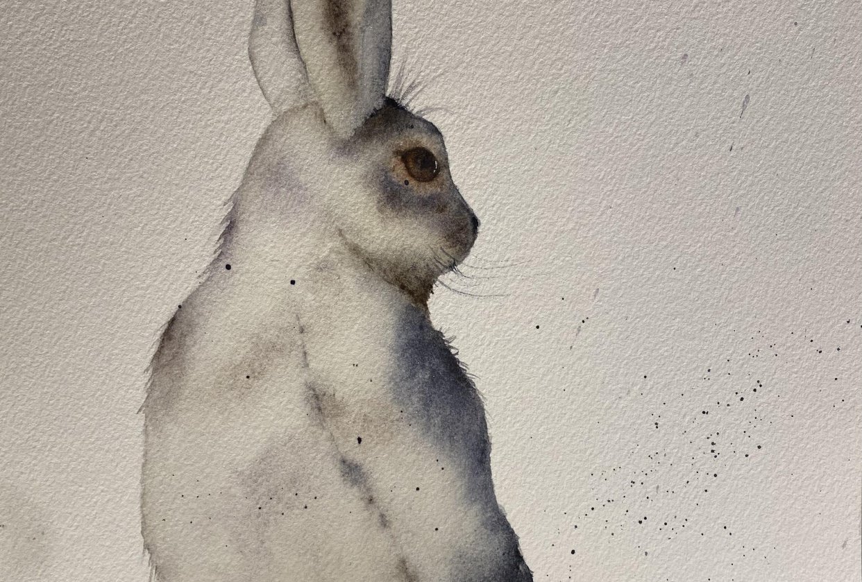 Snow Hare | Skillshare Student Project