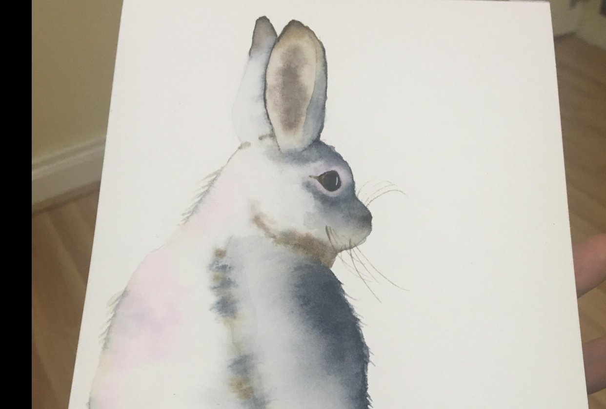 Snowy Hare | Skillshare Student Project