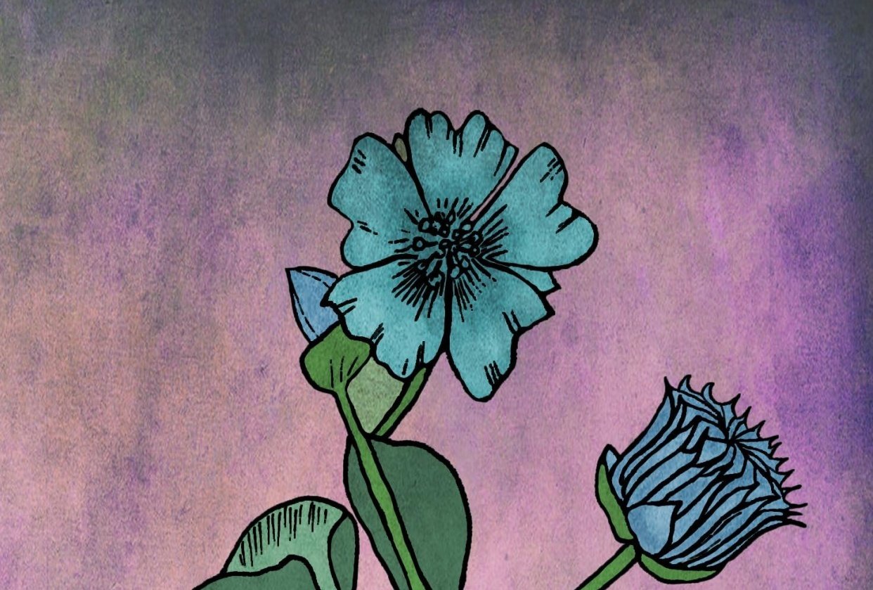 Day 16 of The 100 Day Project | Skillshare Student Project