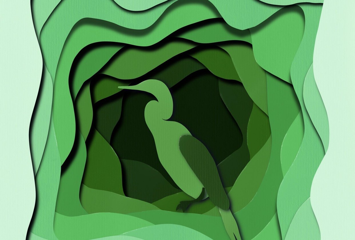 Birds and rainbows | Skillshare Student Project