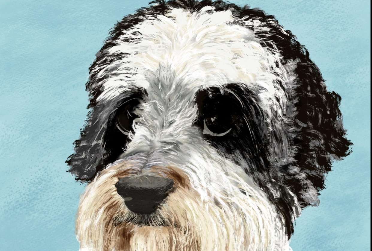 Phebe | Skillshare Student Project