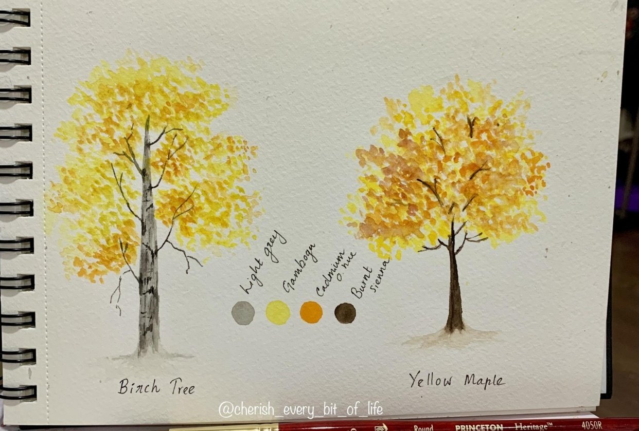 Autumn Trees | Skillshare Student Project
