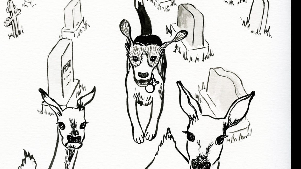 Drawing a Real Life Incident | Skillshare Student Project