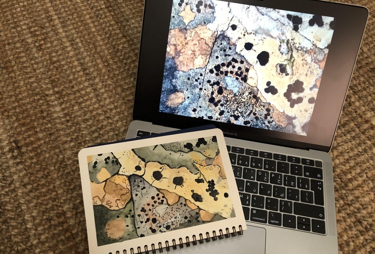 Textures from Nature | Skillshare Student Project