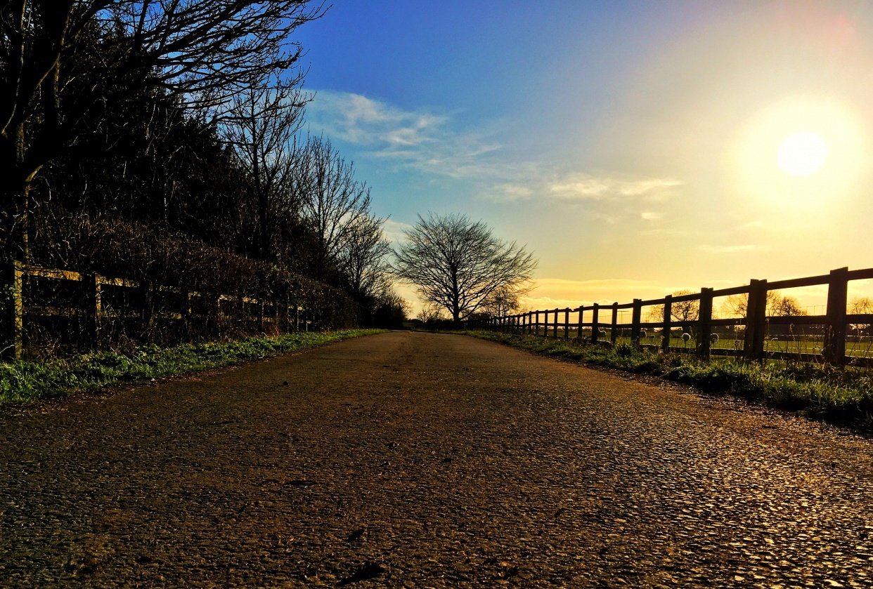 Sunny day | Skillshare Student Project