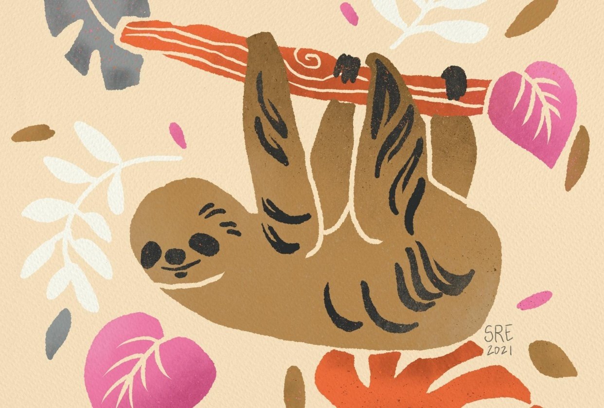 Sloth | Skillshare Student Project