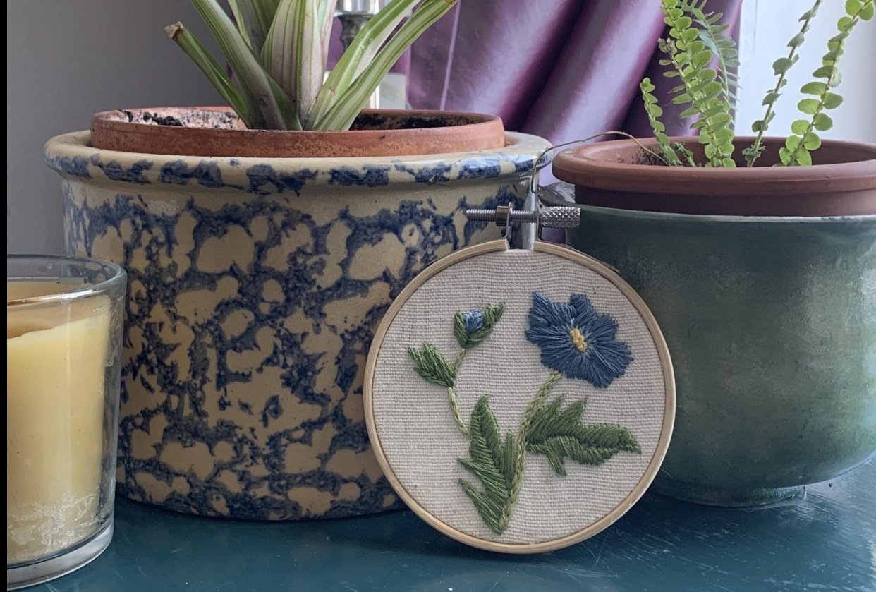 Mini anemone | Skillshare Student Project