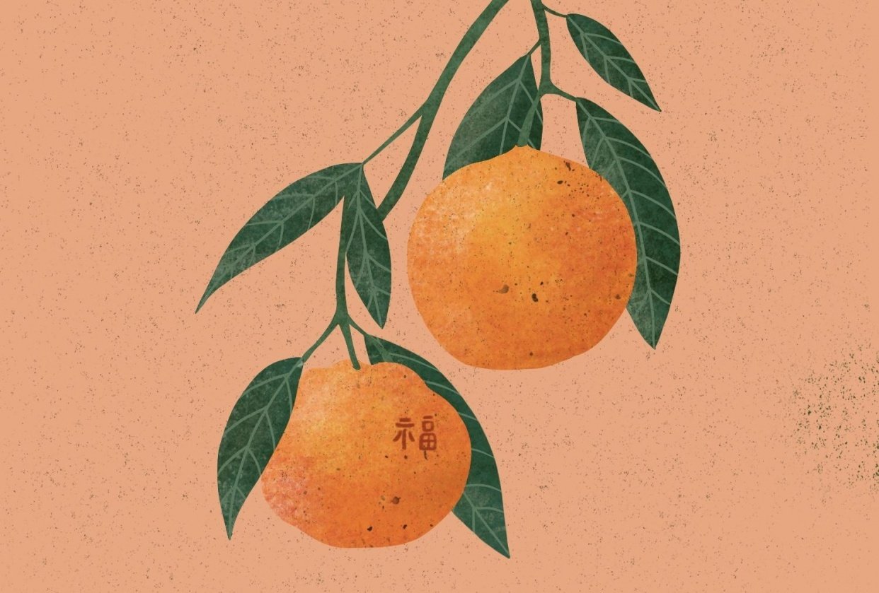 Mandarin Orange | Skillshare Student Project