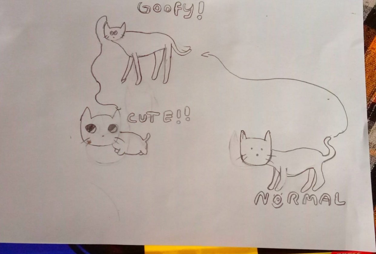 (My cat!) (Normal) (Goofy) (Cute) | Skillshare Student Project