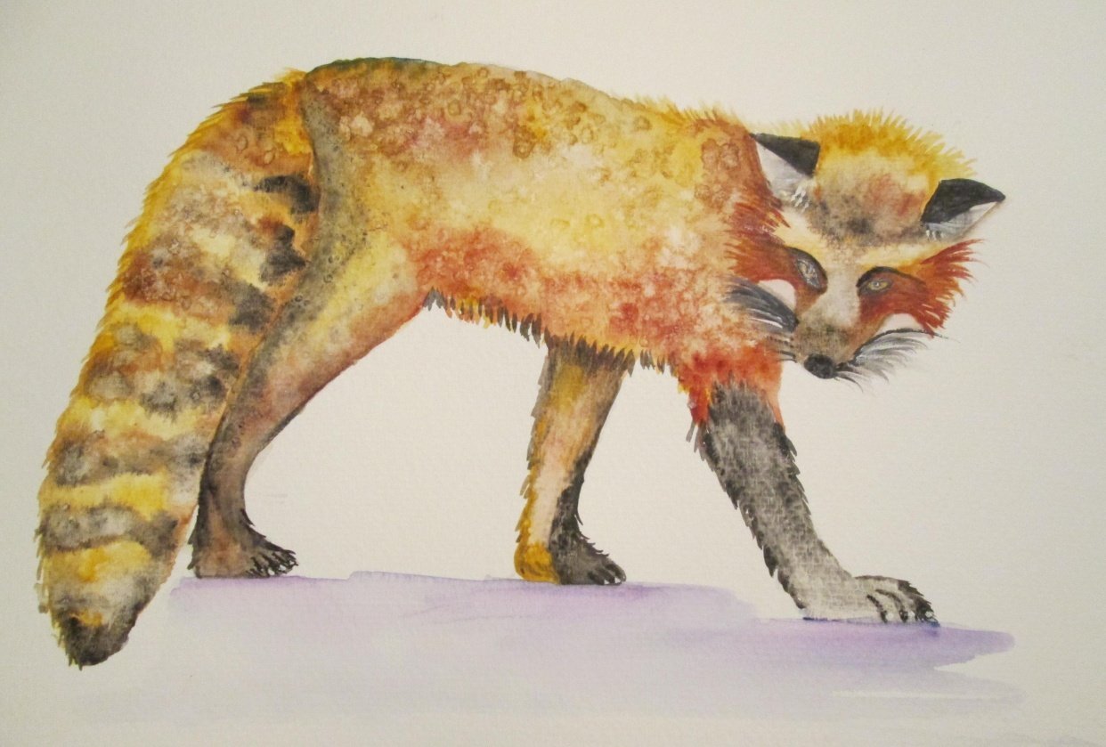 Watercolor Fox | Skillshare Student Project