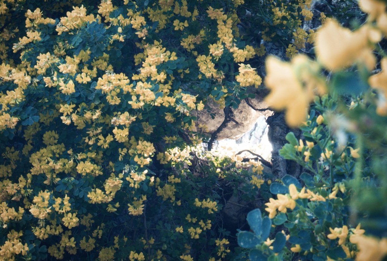 Composition Framing | Skillshare Student Project