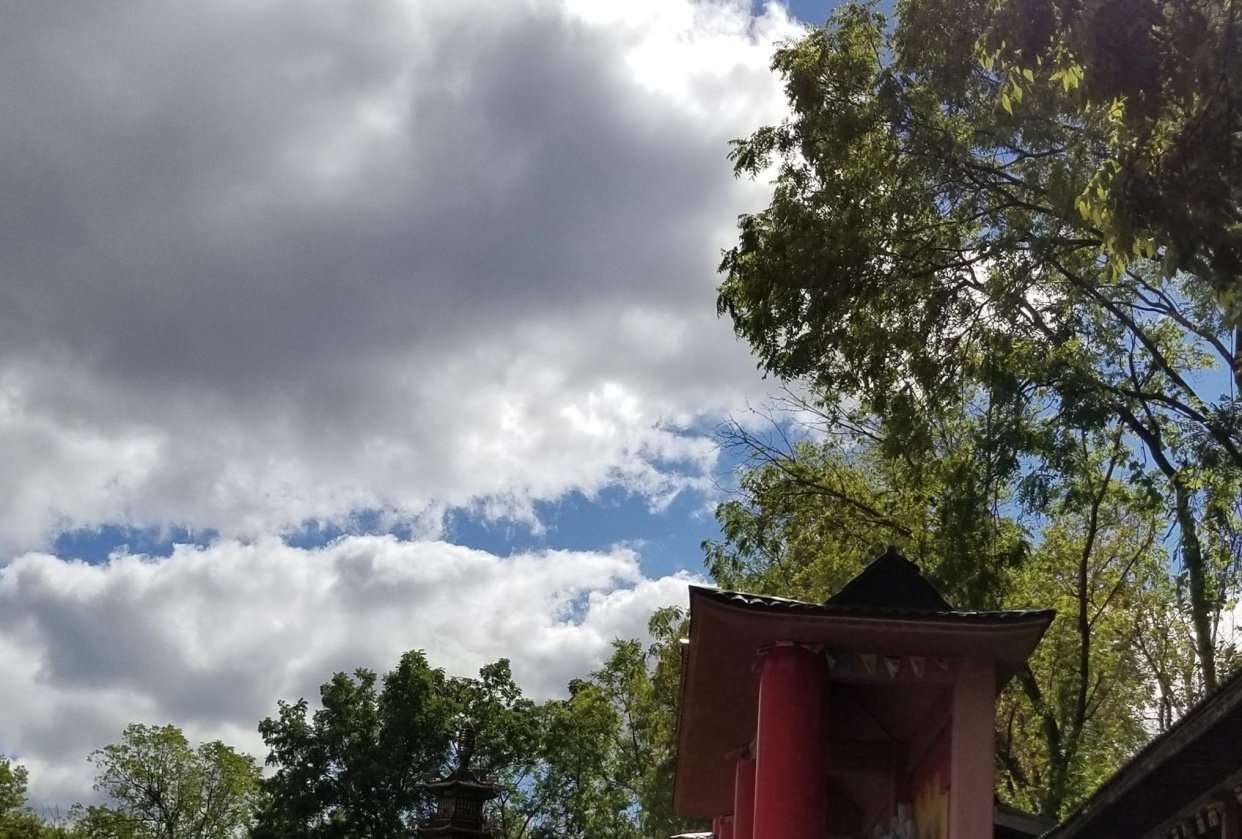 3 views | Skillshare Student Project