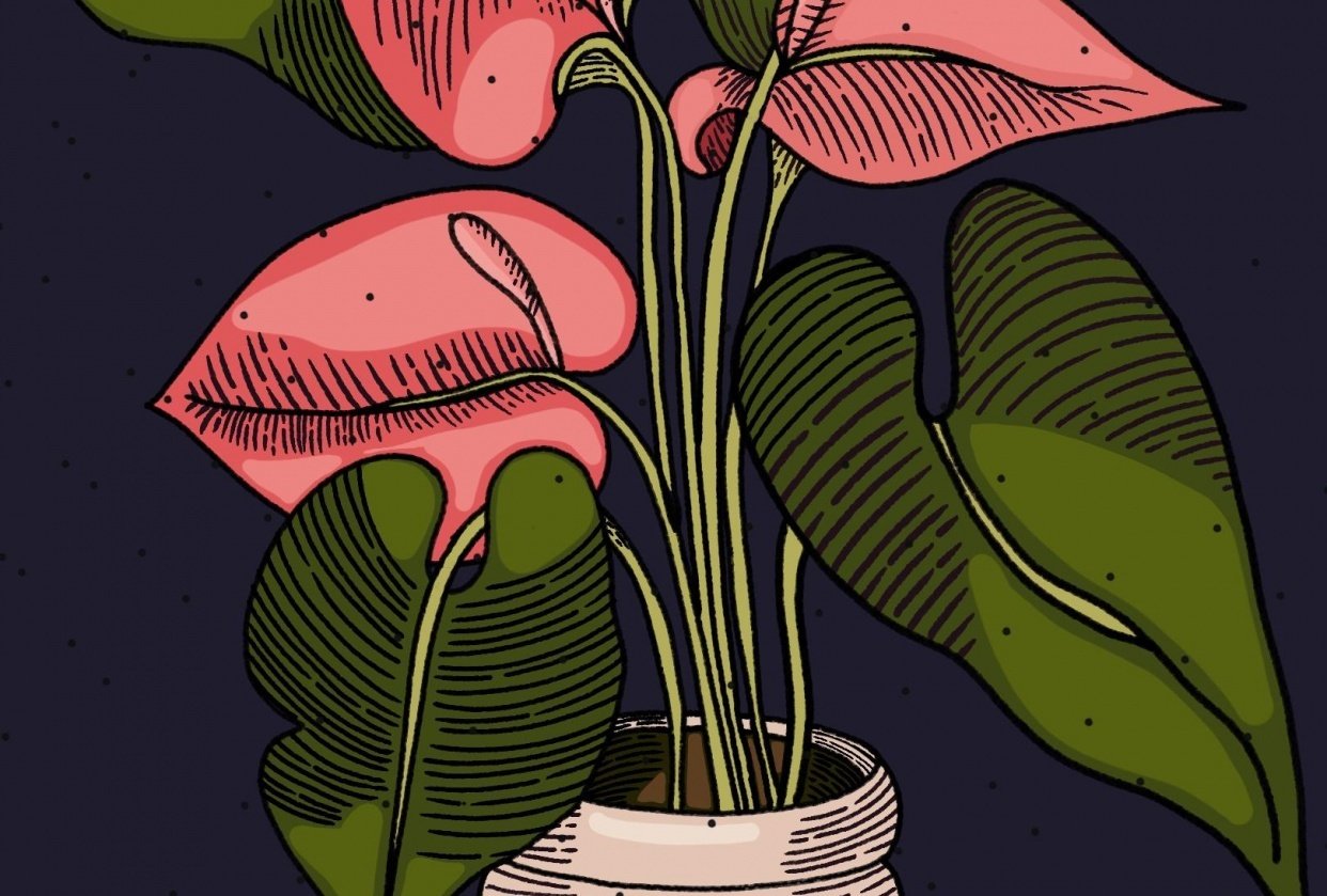 Ink Illustration Practice | Skillshare Student Project