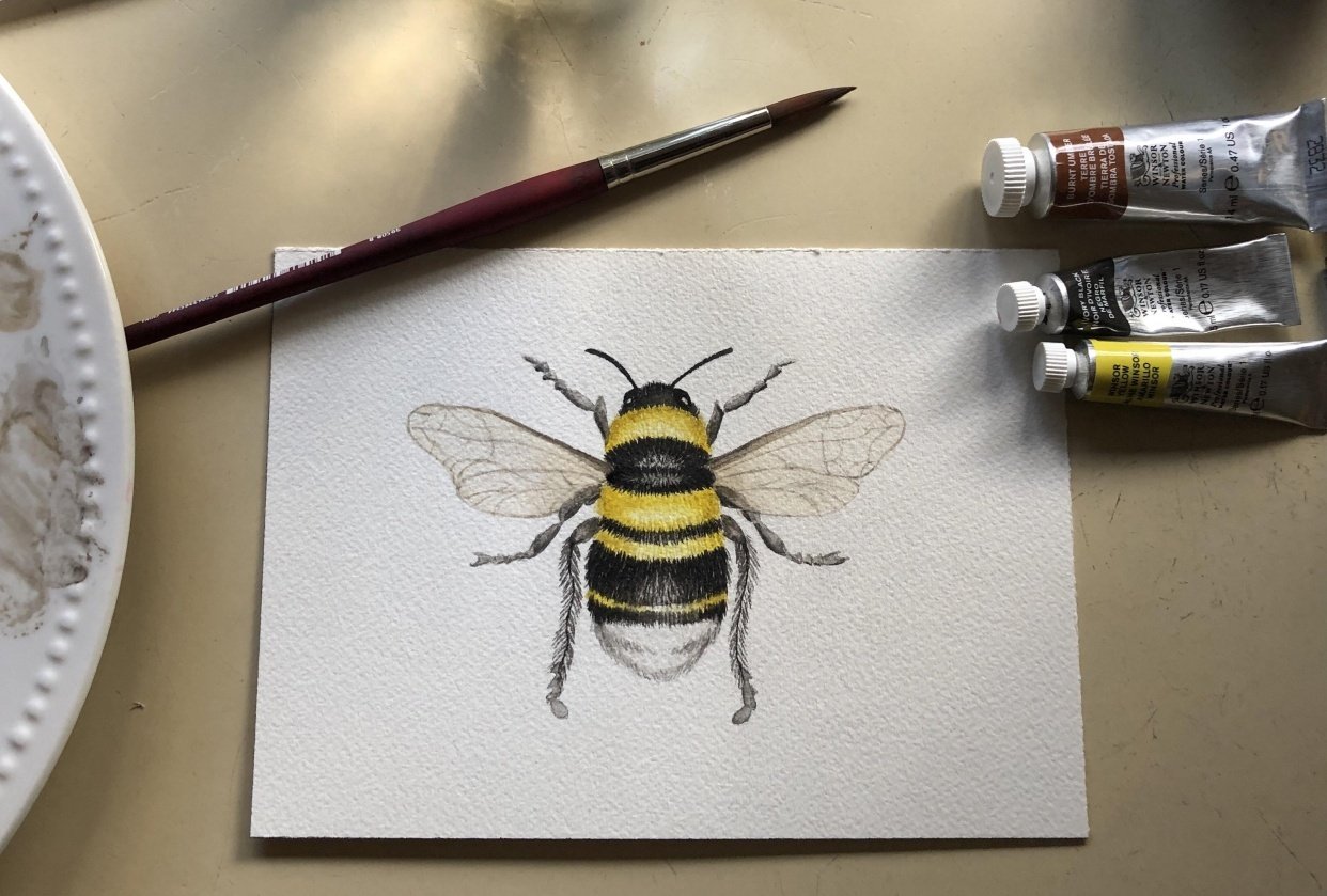 Watercolor bumblebee | Skillshare Student Project