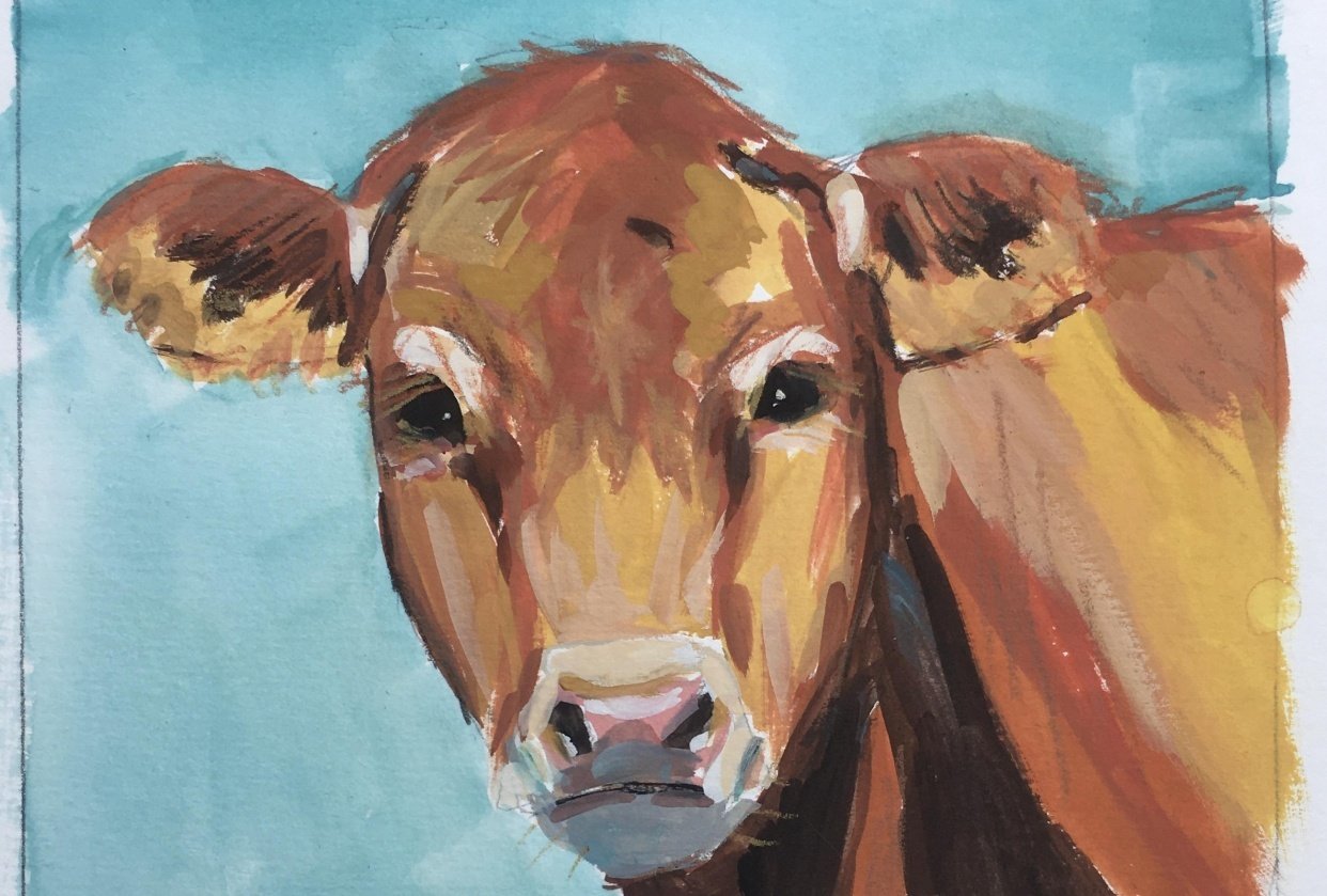 Animal Portraits! | Skillshare Student Project