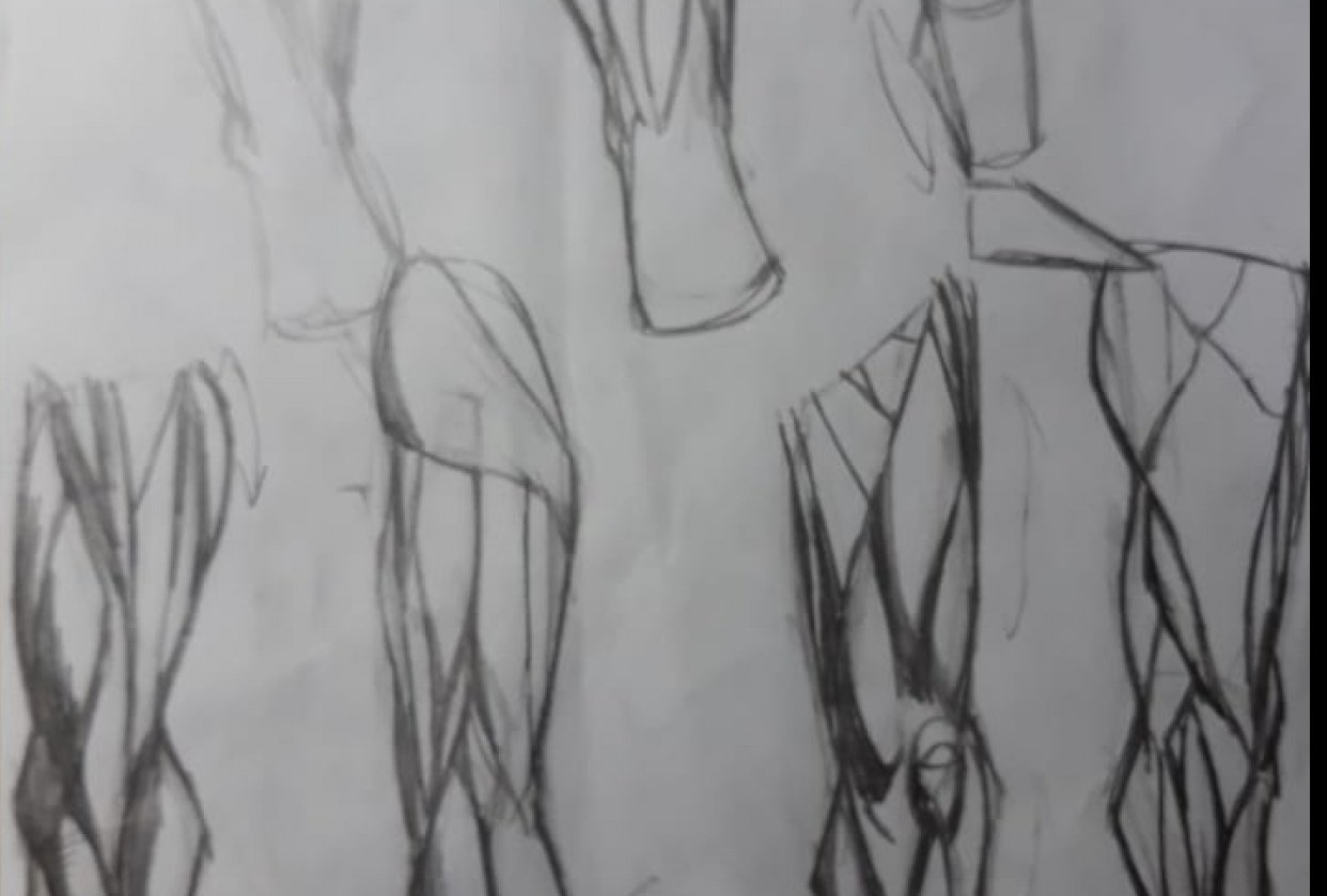 my practice | Skillshare Student Project