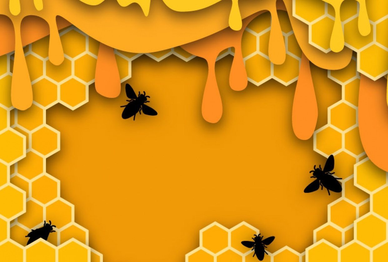 Adobe Illustrator - Projects | Skillshare Student Project