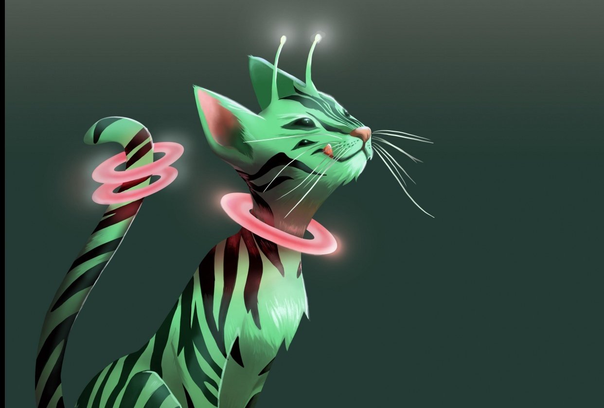 Alien Kitten | Skillshare Student Project