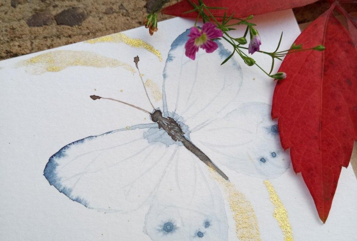 Pretty little butterflies | Skillshare Student Project