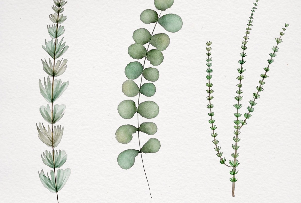 My projects | Skillshare Student Project