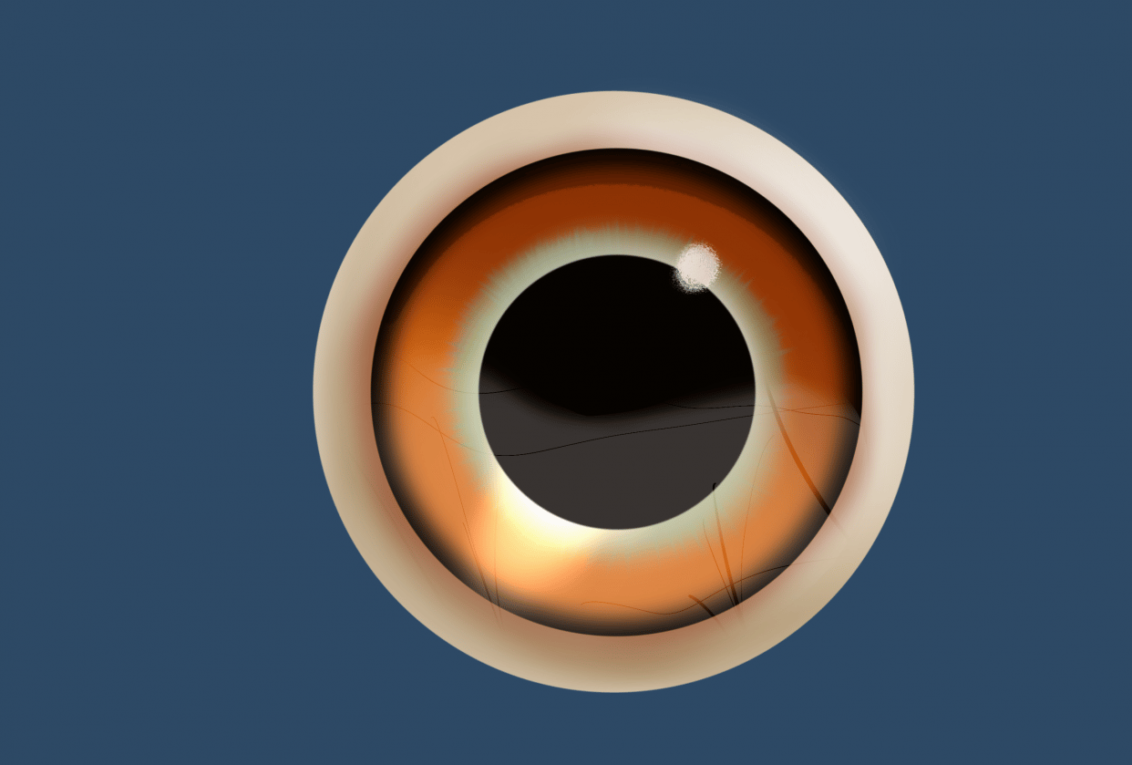 Eye | Skillshare Student Project