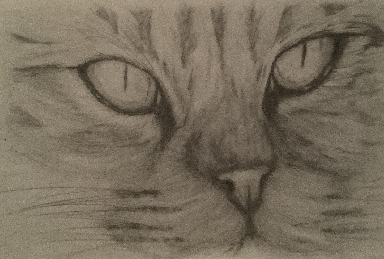 assignment | Skillshare Student Project