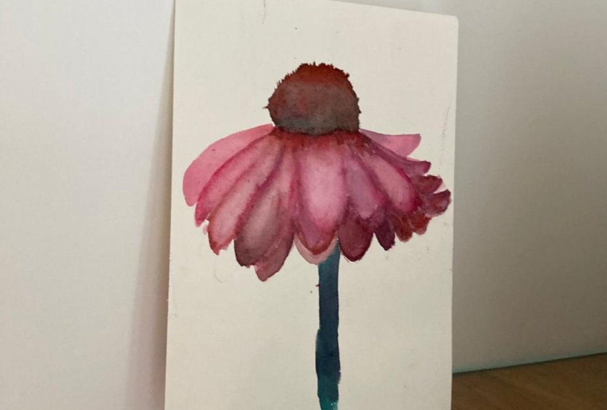 Daisy flower | Skillshare Student Project