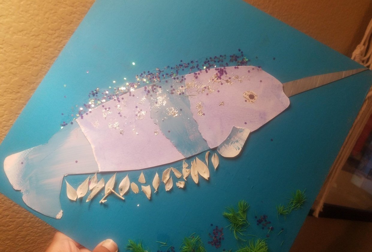 Narwhal! | Skillshare Student Project