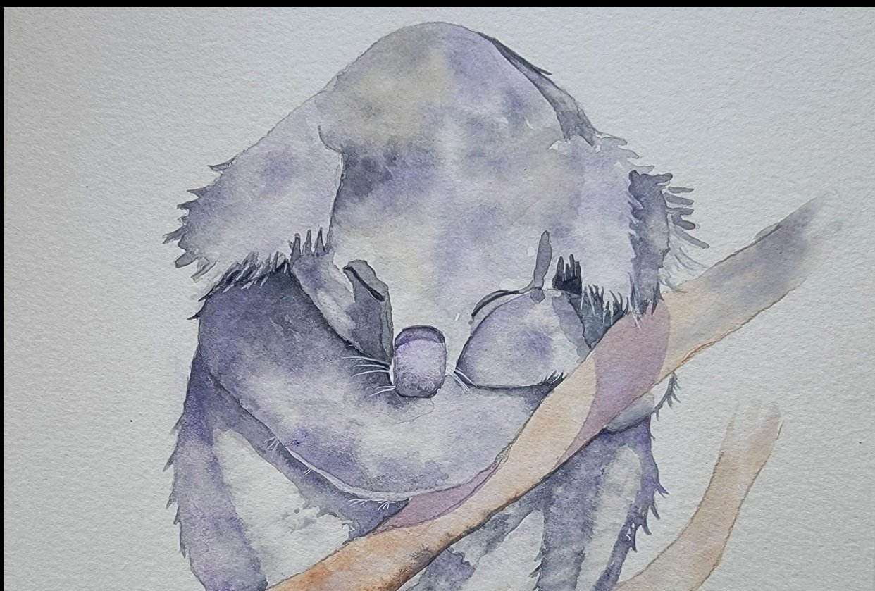 Koala | Skillshare Student Project