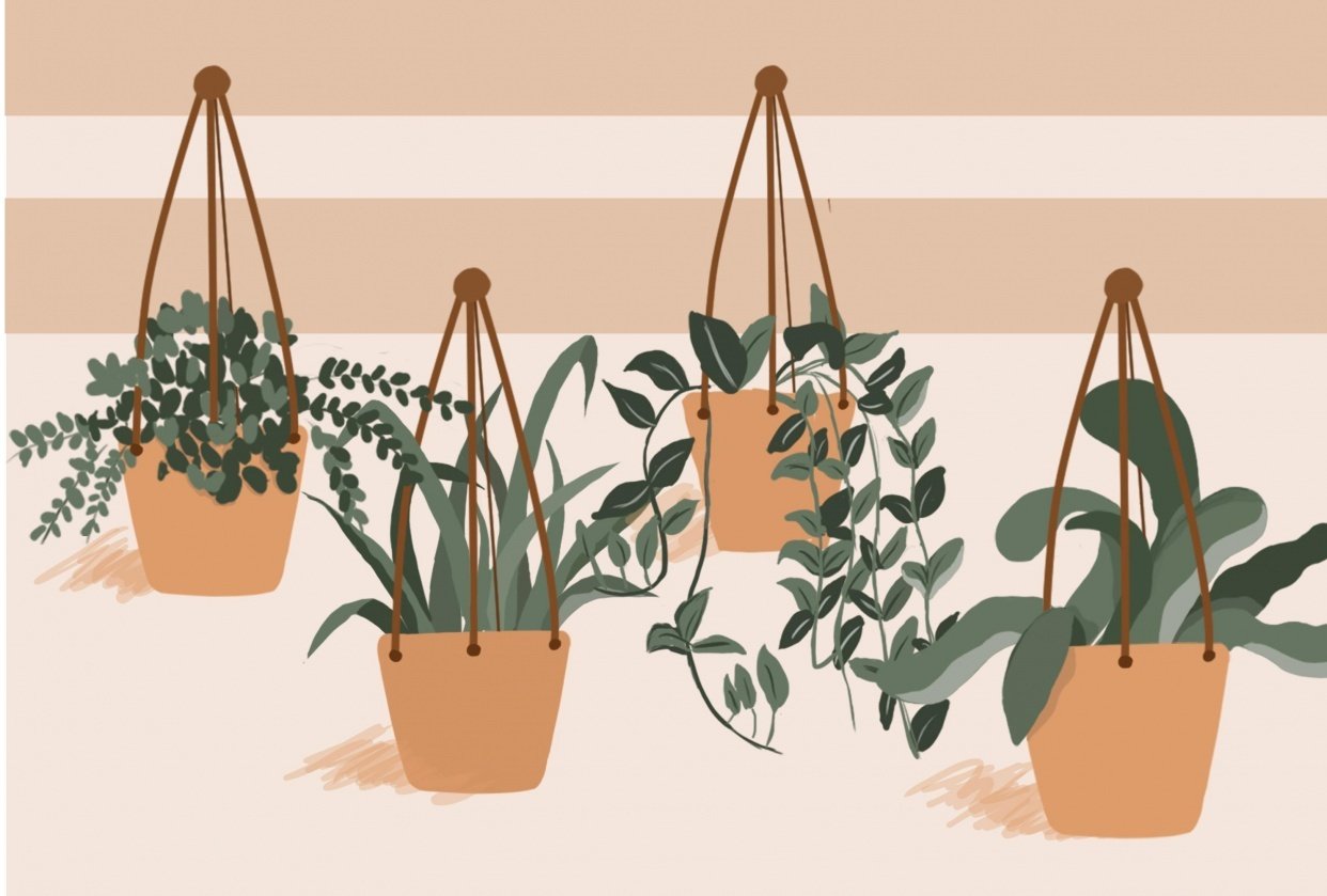 Leaf Illustration | Skillshare Student Project
