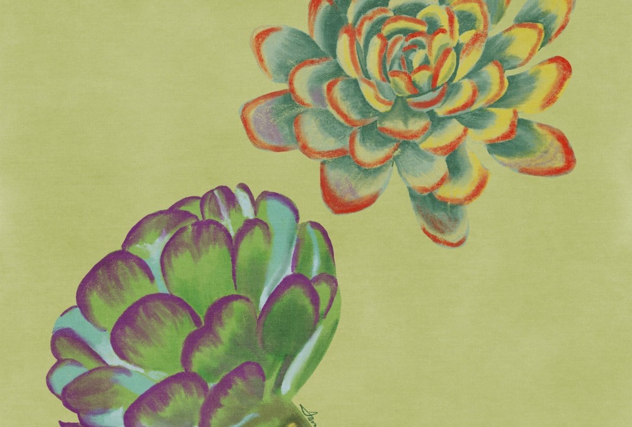 Succulents | Skillshare Student Project