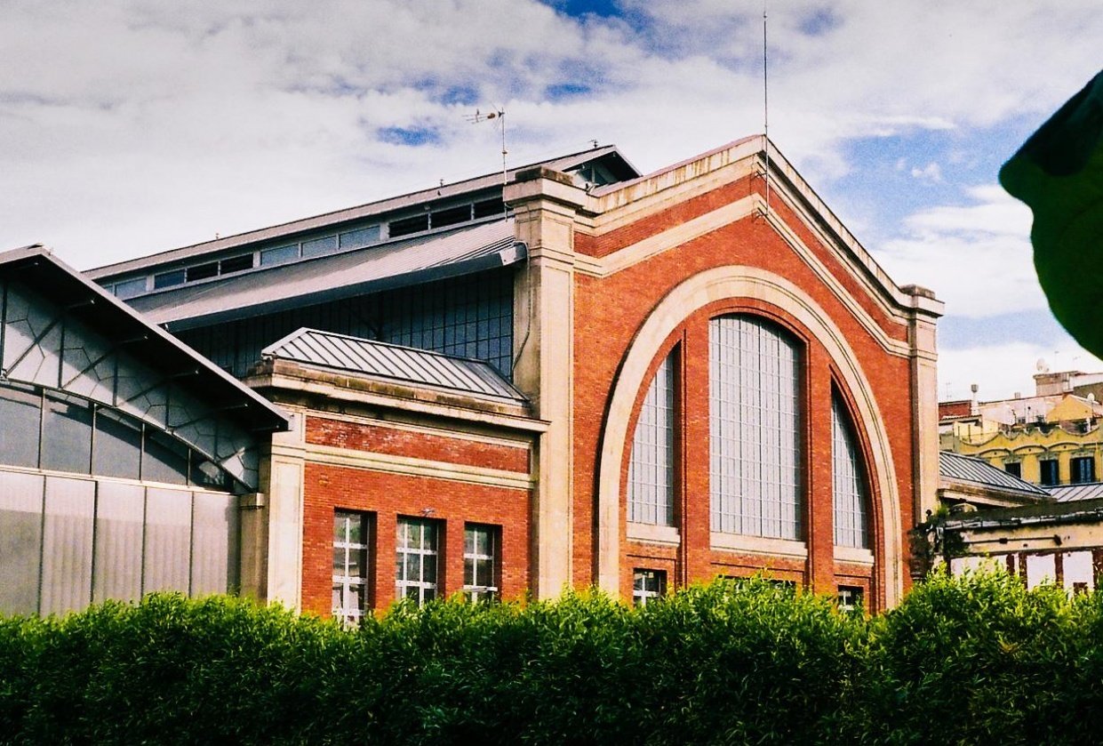 Red market, Green leaves, Blue sky | Skillshare Student Project