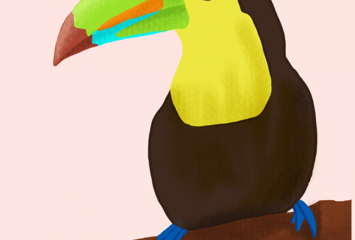 Learning How to Draw | Skillshare Student Project