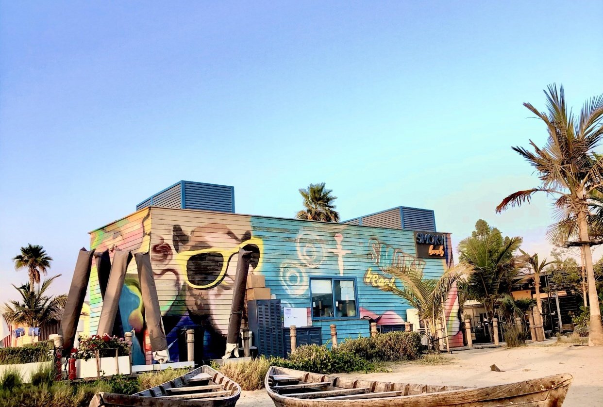 The Cool Camel | Skillshare Student Project